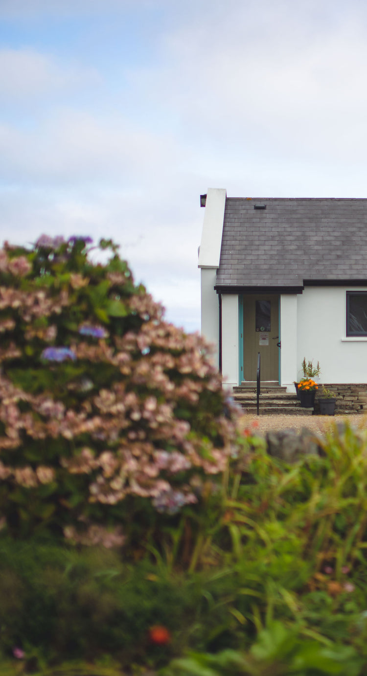 The Clare Jam Company – The Clare Jam Shop