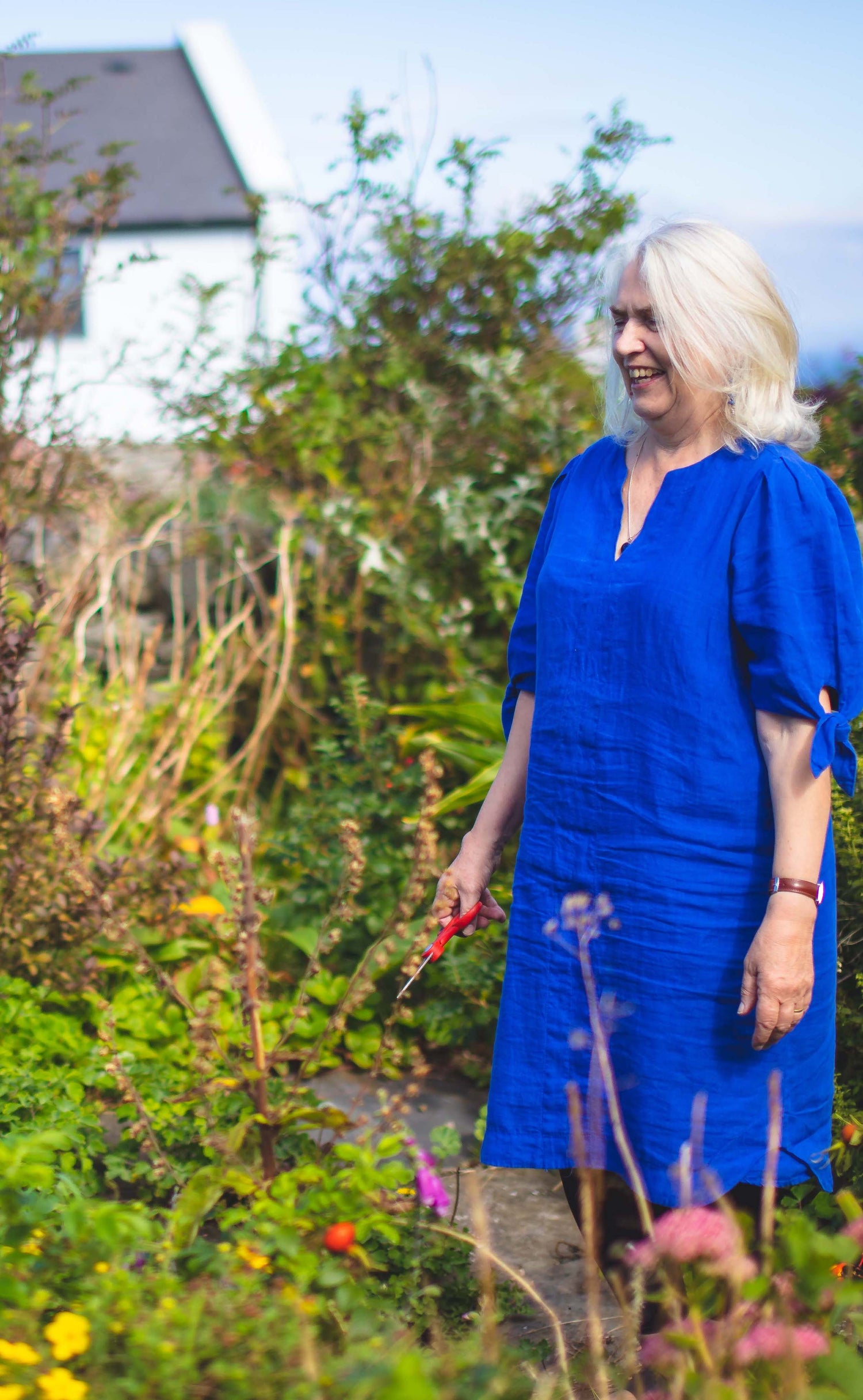 The Clare Jam Company – The Clare Jam Shop